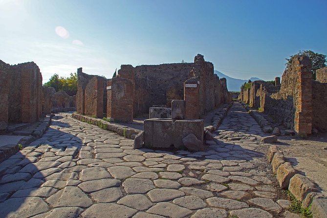 Half Day Morning Tour of Pompeii from Sorrento - Frequently Asked Questions