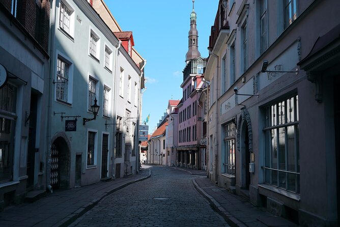Half-Day Private Guided Sightseeing Tour of Tallinn - The Practicalities: What’s Included and What’s Not