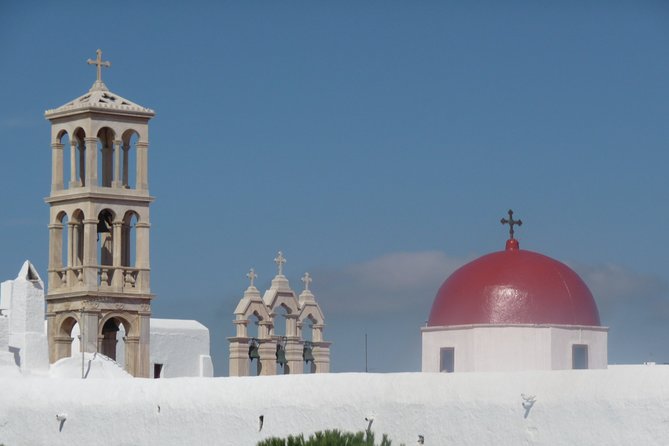 Half-Day Private Guided Tour in Mykonos - Who Should Consider This Tour?