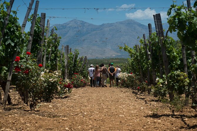 Half-Day Private Tour in Two Wineries and Archanes from Heraklion - FAQs