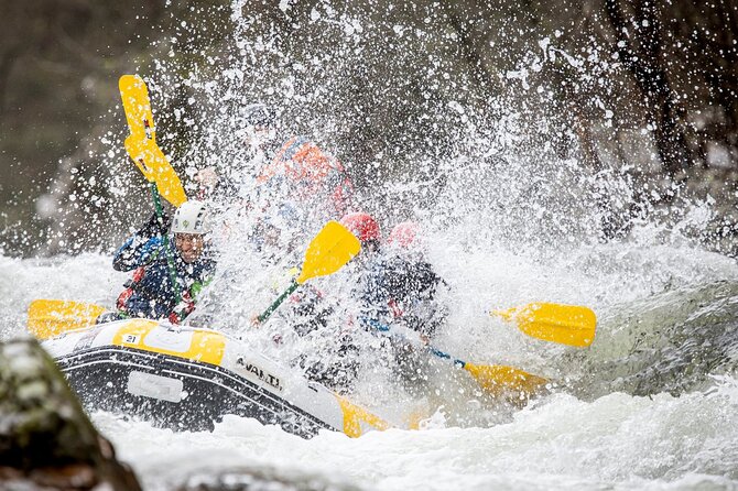 Half-Day Rafting on the Paiva River in Arouca - Who Will Love This Tour?