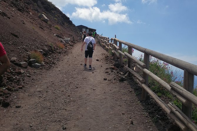 Half day shore excursion to Mount Vesuvius (2 hours) - Who Should Consider This Tour?