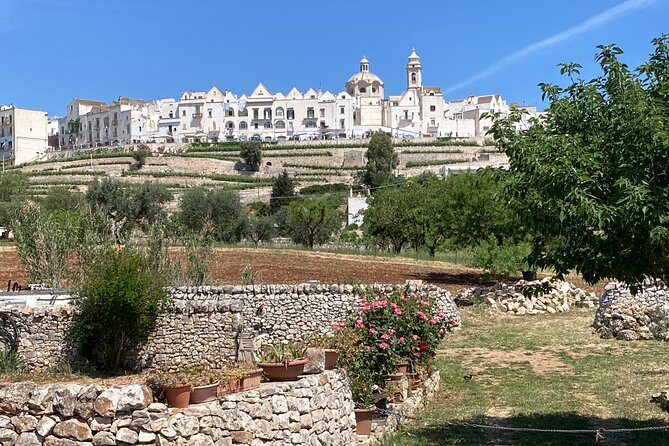 Highlights of Puglia: Bari, Alberobello and the charming villages - The Sum Up