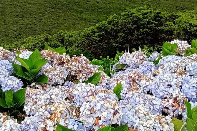 Hike 3 hours Inland Terceira Island - FAQs