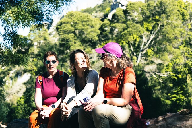 Hike in Sintra: Pena Palace, Moorish Castle, Quinta da Regaleira - Vila Sassetti and the Wilderness Path