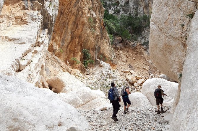 Hike to Gorropu Canyon - Authentic Reviews and Insights