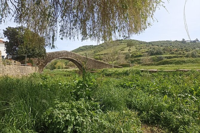 Hike & Wine Ericeira - Final Thoughts