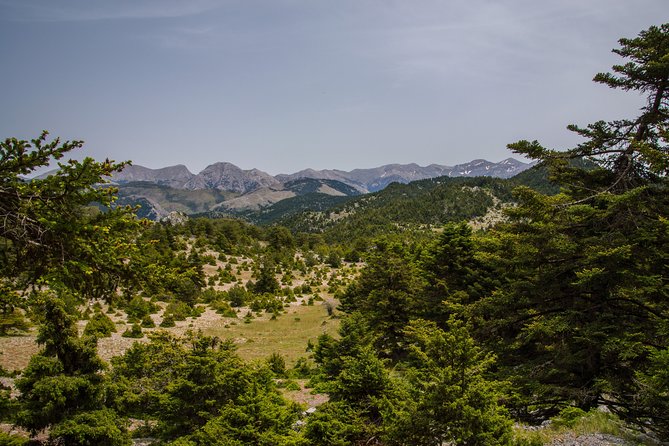 Hiking above Kalamata - Authentic Feedback from Participants