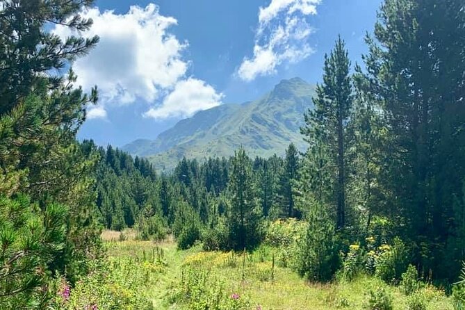 Hiking adventure in Sharri - The Sum Up
