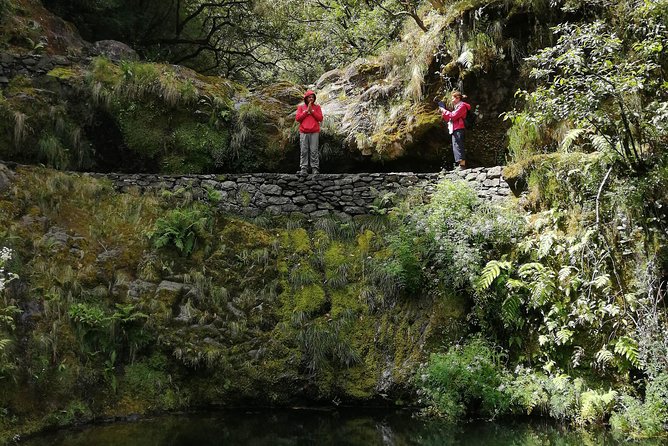 Hiking and Trekking tours in Madeira - The Experience in Context