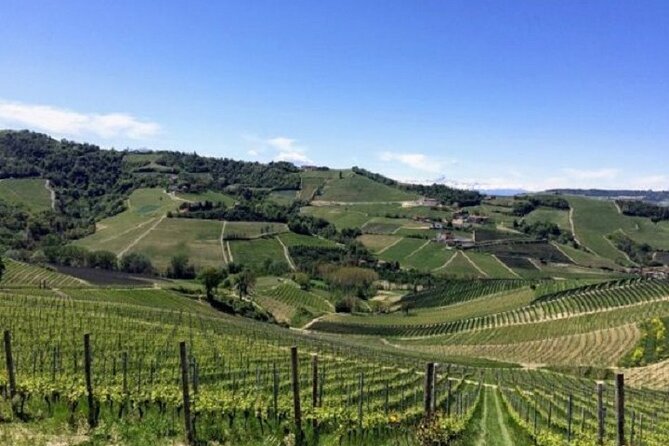 Hiking and wine tour starting from Alba - The Practicalities and Value