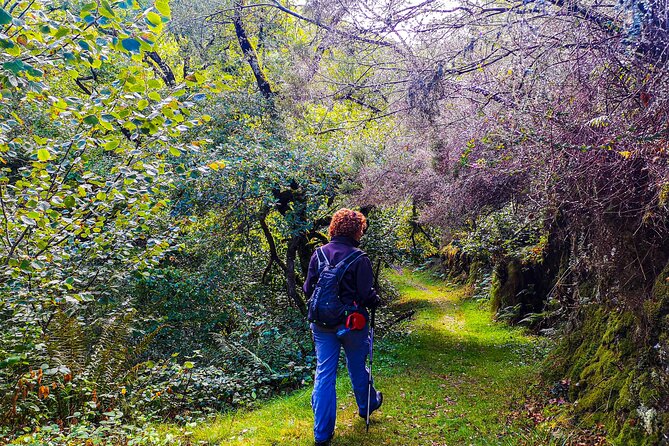 Hiking Experience in Asturias, from Gijón or Oviedo - Value for Money: Is $98.40 Worth It?