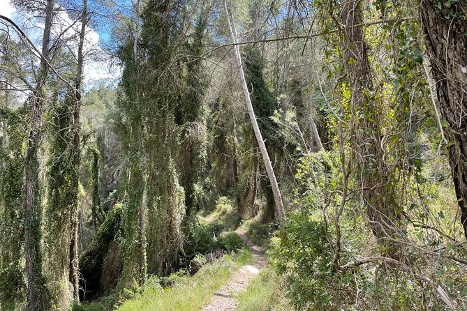 Hiking in Montanejos and swim in Thermal Springs - OFFICIAL GUIDE - FAQ