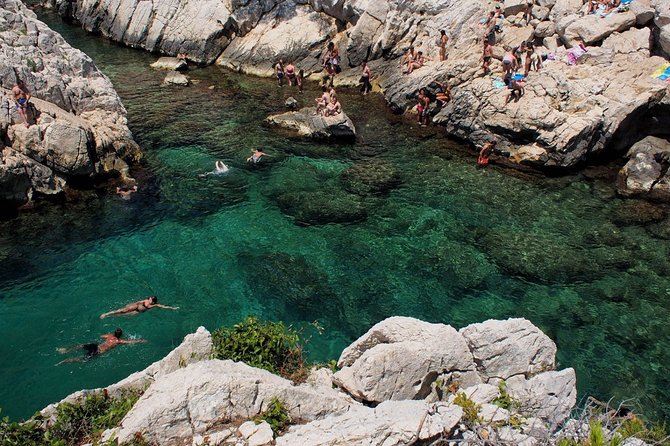 Hiking in the Calanques National Park from Marseille - Insights from Travelers’ Reviews
