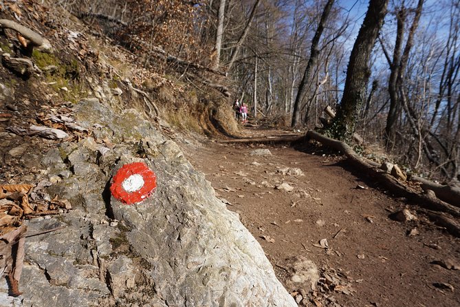 Hiking on the Edge of Ljubljana - The Slovenian Cuisine
