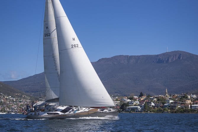 Hobart Half Day Wine and Food Tour - The Tour’s Strengths and Limitations