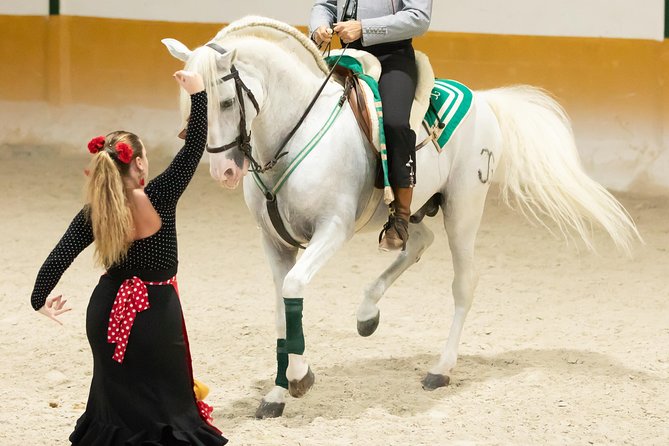 Horse and Flamenco Show in Malaga - Practical Details and Logistics