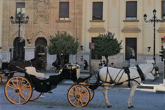 Horse-Drawn Carriage Ride through Seville - Who Will Love This Tour?