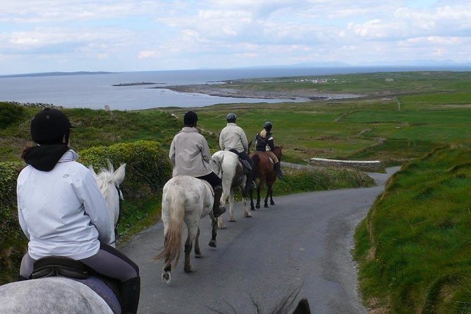 Horse riding - Burren Trail. Lisdoonvarna, Co Clare. Guided. 3 hours. - Who Would Love This Experience?