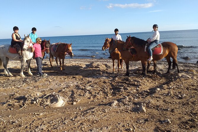 Horse Riding--Explore secret Thera - The Experience’s Authenticity and Local Flavor