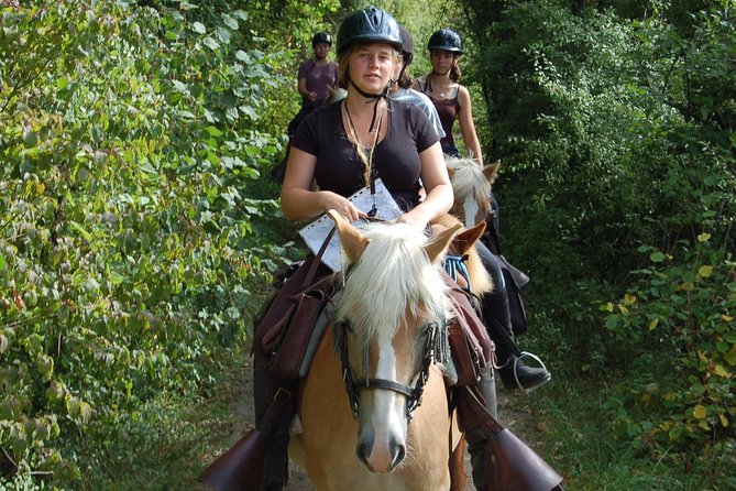 Horse riding in the French countryside - The Sum Up