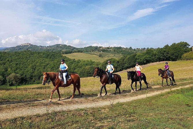 Horse Riding in Tuscany for Experienced Riders: Full-day Trail Ride - Final Thoughts
