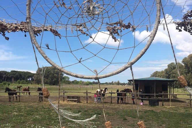 Horse Sanctuary & Trail Ride - Authentic Encounters and User Feedback
