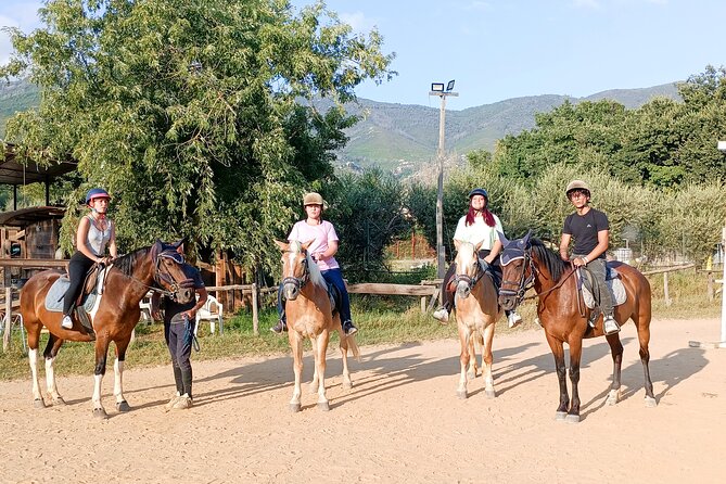 Horseback riding and aperitif 2 hours for beginners - Why This Tour Works for You