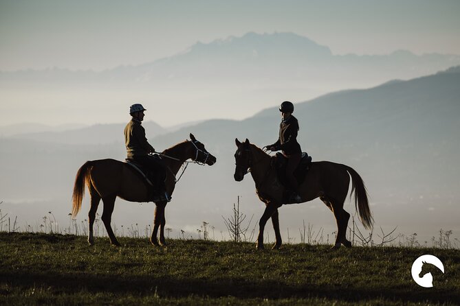 Horseback riding for experts between the lake and the mountains - Analyzing the Value