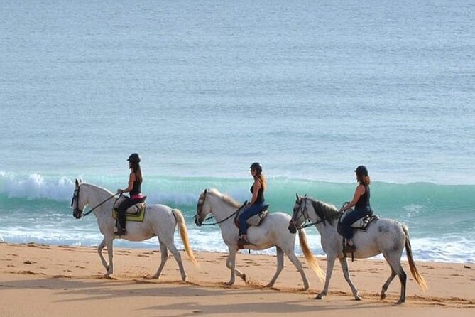 Horseback Riding in the sunset of Famara Beach, Lanzarote, Spain - Authentic Experiences Shared by Travelers