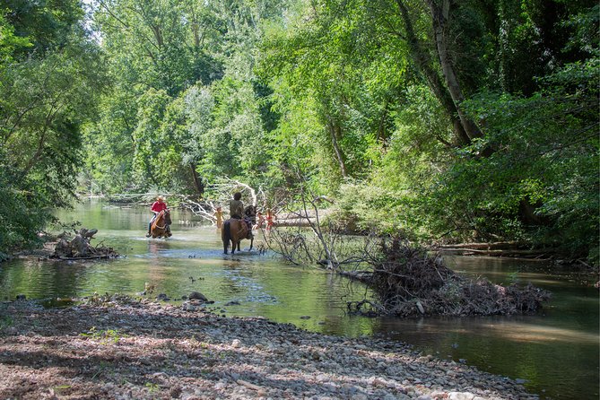Horsemanship Experience - Relaxation and Reflection in the Woods