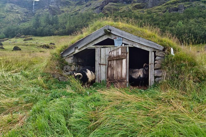 Iceland's south coast G spots - FAQ
