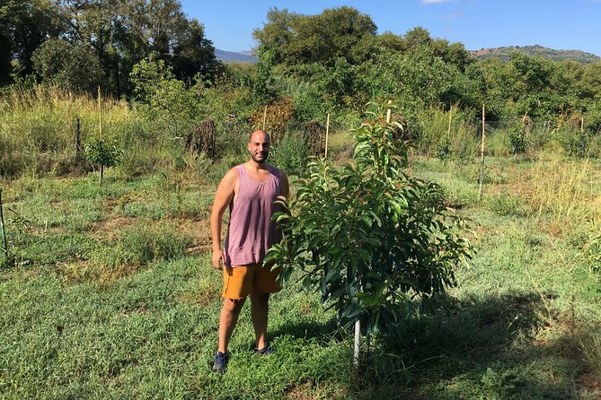 In Crete Discover the miracle of Olive Oil and Organic Fruits - FAQ