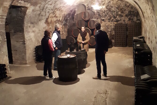 Independent wine tour, cellar and tasting in the vineyards - Authenticity and Value