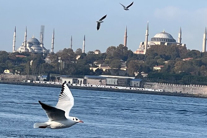 Istanbul Airport or Cruise Ship Private Layover Tour - Practical Tips