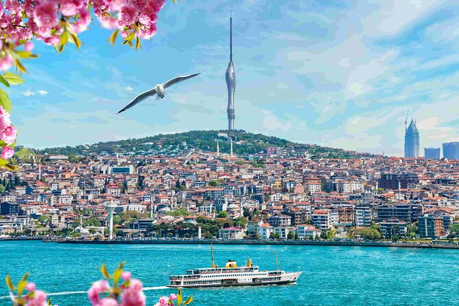 Istanbul Camlica Tower: Private Entry, Transfer & Dine Choices - Who Will Love This Experience?