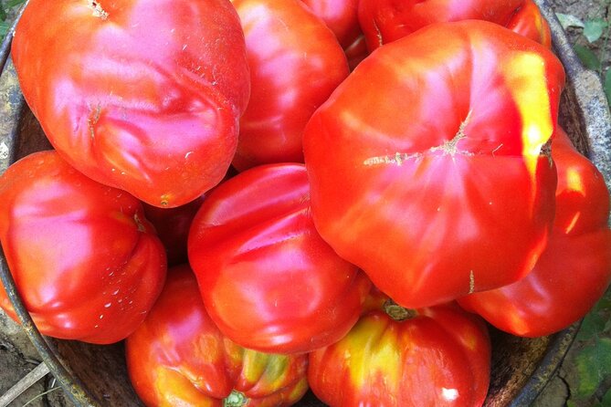 Italian cooking lesson and lunch in an Abruzzo farmhouse - FAQs