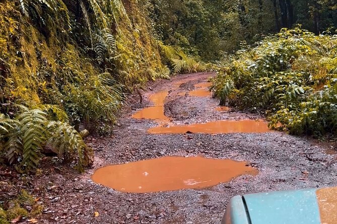 Jeep Safari 4x4 Madeira Pico areeiro, Santana, Ponta Sao Lourenço - Who Will Appreciate This Tour?