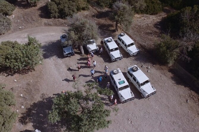 Jeep Safari Akamas from Paphos - Group Size & Comfort