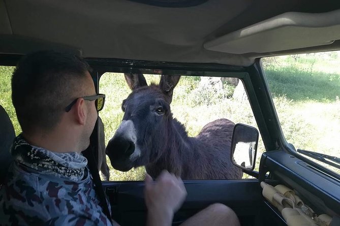 Jeep Safari to Akamas National Park: Avakas Gorge Tour from Paphos - FAQ