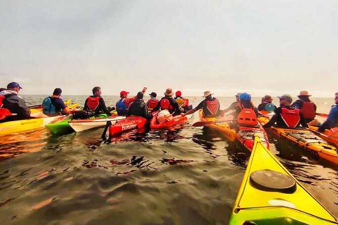Kayak excursion to Cova dels Coloms from Platja Mascarat - Authentic Feedback from Participants