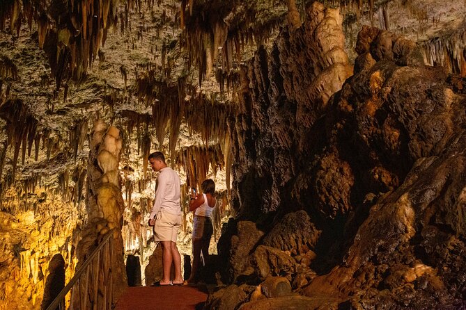 Kefalonia: Exclusive Caves Exploration & Delights - The Sum Up: Is This Experience Right for You?