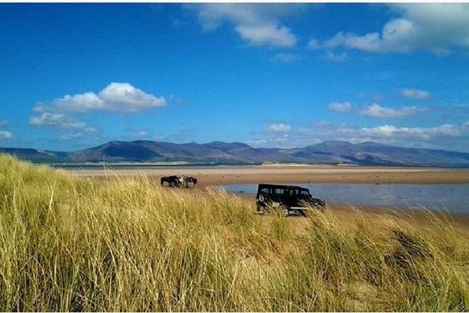 Killarney National Park Horseback Ride. Co Kerry. Guided. 1 hour. - Authentic Encounters and Reviews from Fellow Travelers