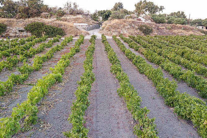 Kostantakis Winery - Milos Island Tour & Wine Tasting Experience - Overall Impression and Who This Suits