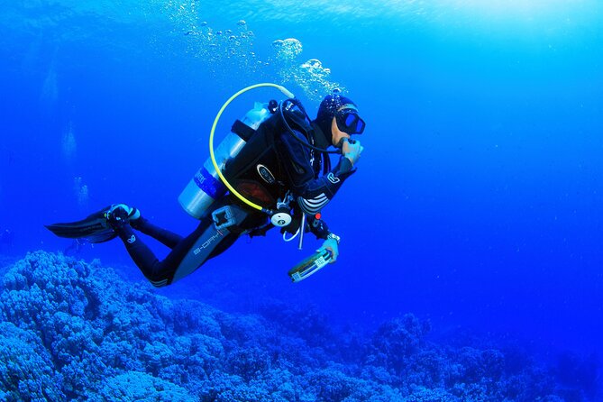 Kusadasi Scuba Diving Tour By Local Experts - Who is This Tour Best For?