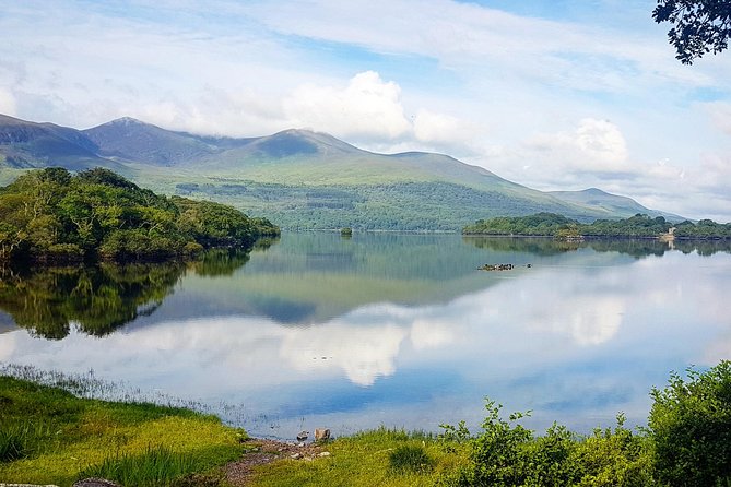 Lakes of Killarney Cruise - Authentic Experiences Highlighted by Travelers