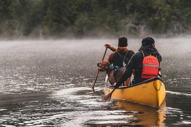 Lapland Kayak Adventure in Rovaniemi - Price, Value, and Practical Considerations