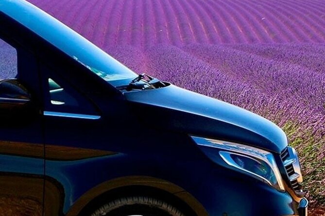 Lavender Fields Full Day Private Tour From Marseille - FAQs About the Lavender Fields Private Tour