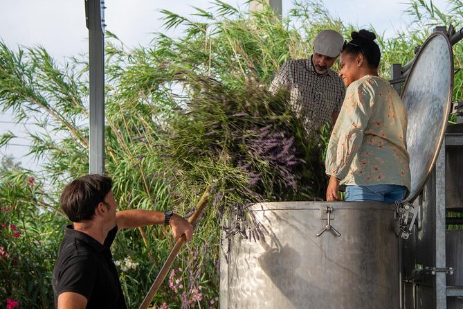 Lavender Harvesting and Distillation Workshop in Bellegarde - Authentic Connections to Provence