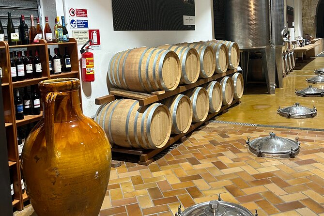 Lecce: E-Bike tour to Galatina with old olive mill & wine taste - Who Should Consider This Tour?